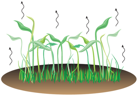 Evapotranspiration: What It Is and How It Is Helpful